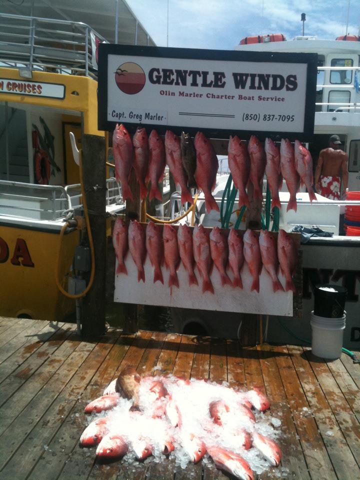 Destin Beach Parasail